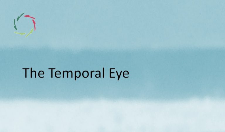 The Temporal Eye