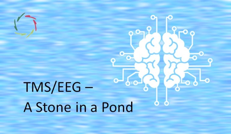 TMS/EEG – A Stone in a Pond