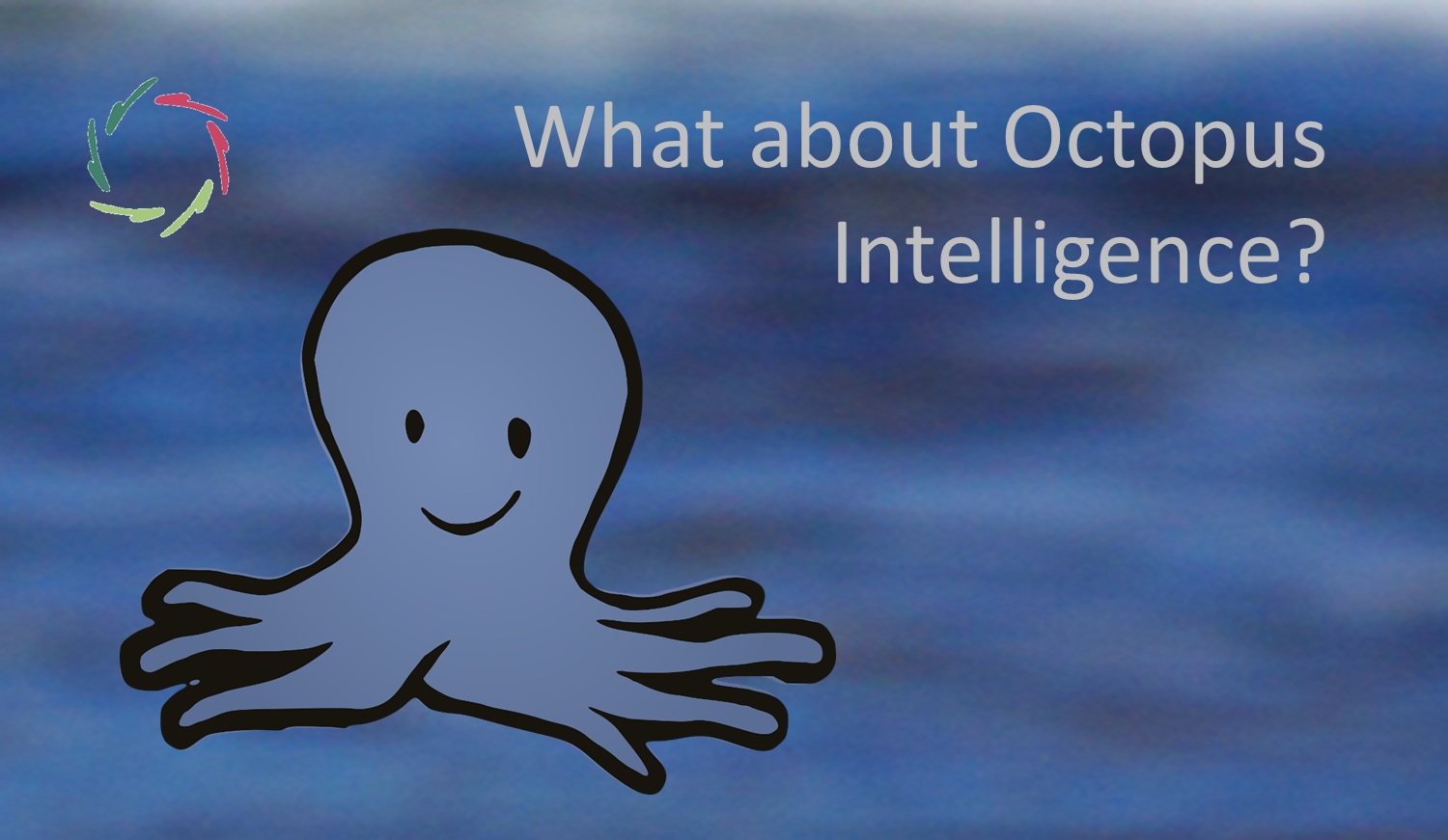 What about Octopus Intelligence?