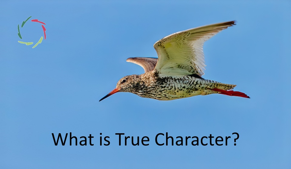 What is True Character?